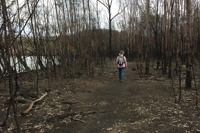 Fishermans Paradise Eco-walk - The Sum Up