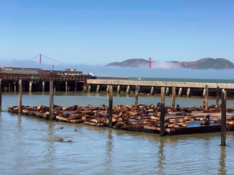 Fishermans Wharf Highlights Tour + Golden Gate Bay Voyage - Potential Drawbacks and Considerations