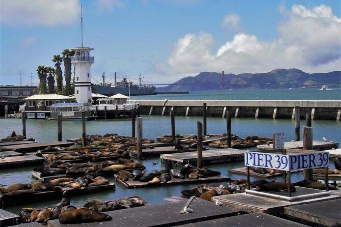 Fisherman's Wharf Walking Tour - Who Is This Tour Best For?