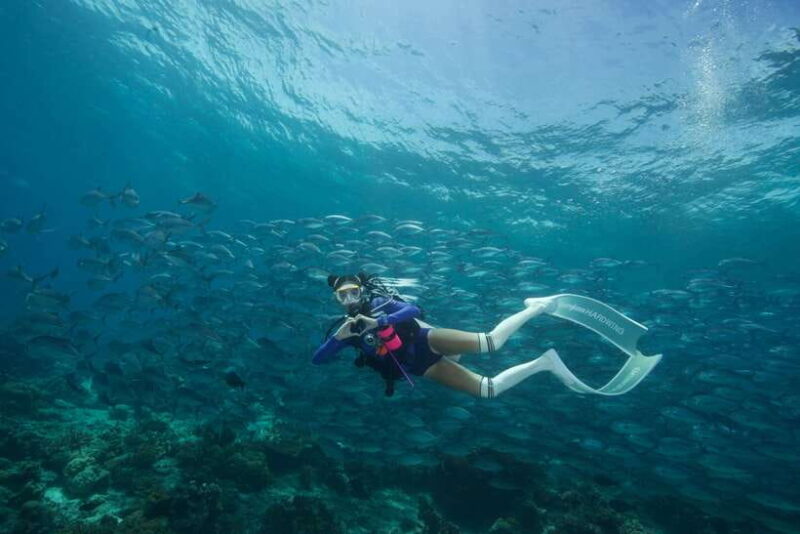 Fisheye Divers: Advanced Open Water Course - Why This Course Matters