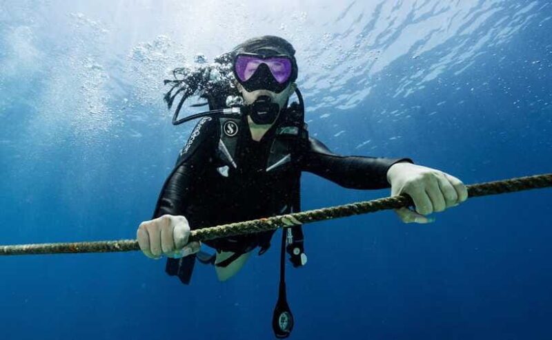 Fisheye Divers: Advanced Open Water Course - The Value of the Package