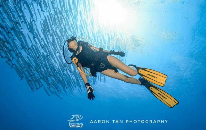 Fisheye Divers: PADI Open Water Course - What’s Included and What’s Not