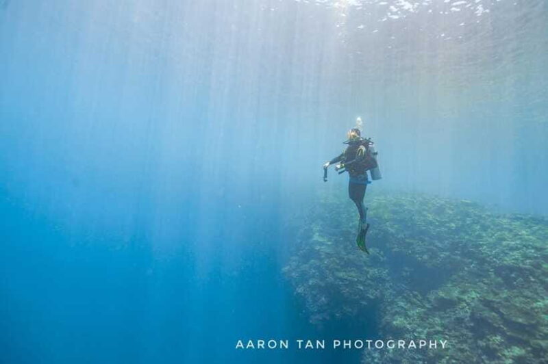 Fisheye Divers: PADI Open Water Course - Experience Provider and Booking Flexibility