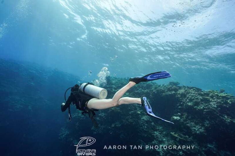 Fisheye Divers: PADI Open Water Course - FAQs