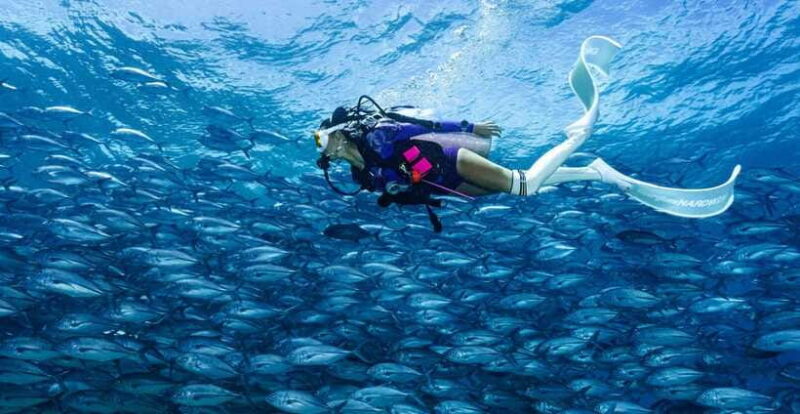 Fisheye Divers: PADI Open Water Course - Final Thoughts