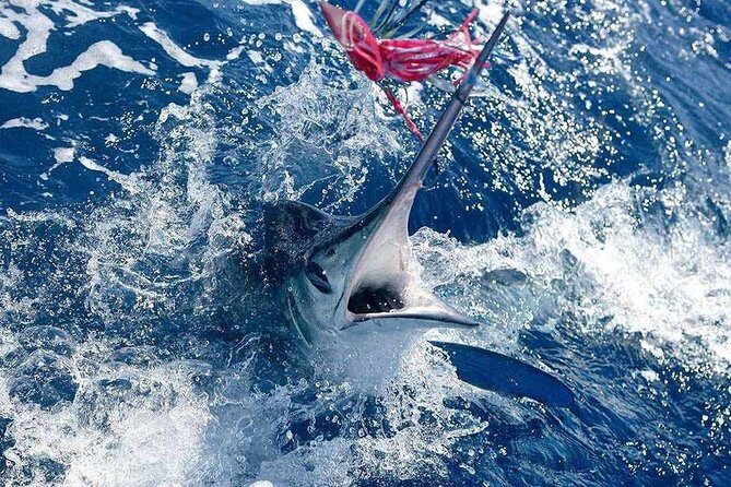 Fishing by Speedboat - Who Will Love This Tour?