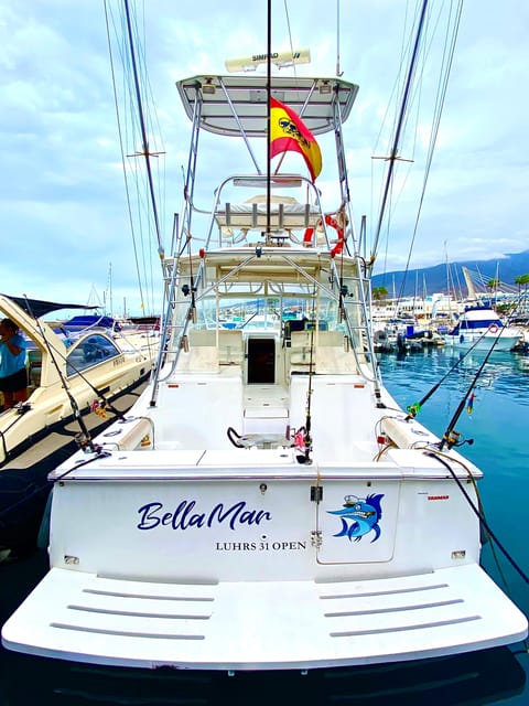 fishing charter 4h - Why This Tour Might Be Perfect for You