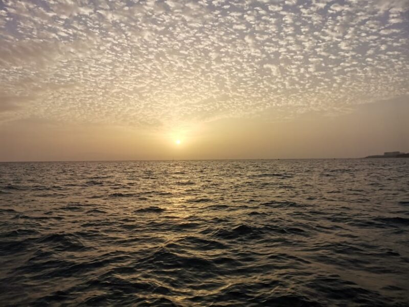 fishing charter 4h - The Sum Up: The Best Value for a Versatile Sea Day