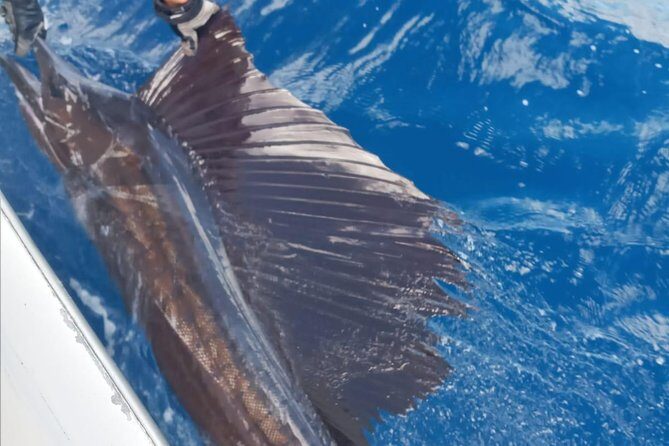 Fishing Charter 8 Hours - An In-Depth Look at the Bonaire Fishing Experience