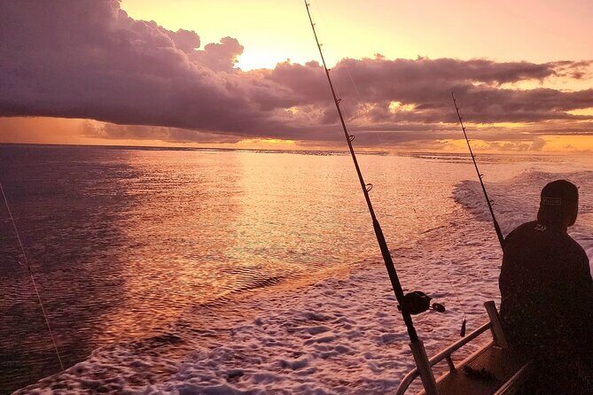 Fishing Charter in Pelican Waters - Analyzing the Value