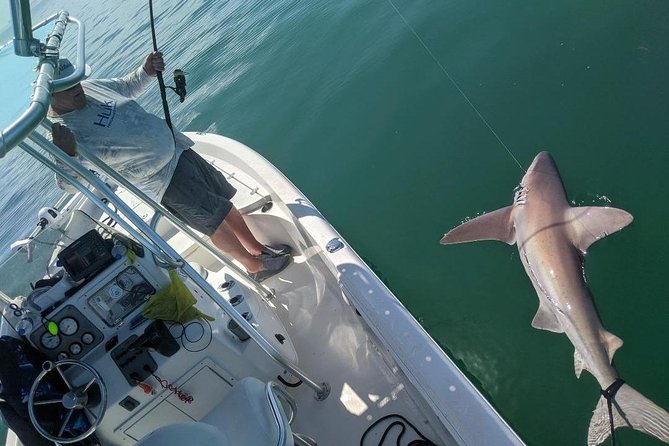 Fishing Charters - Fort Myers Beach / Naples - Experience Details