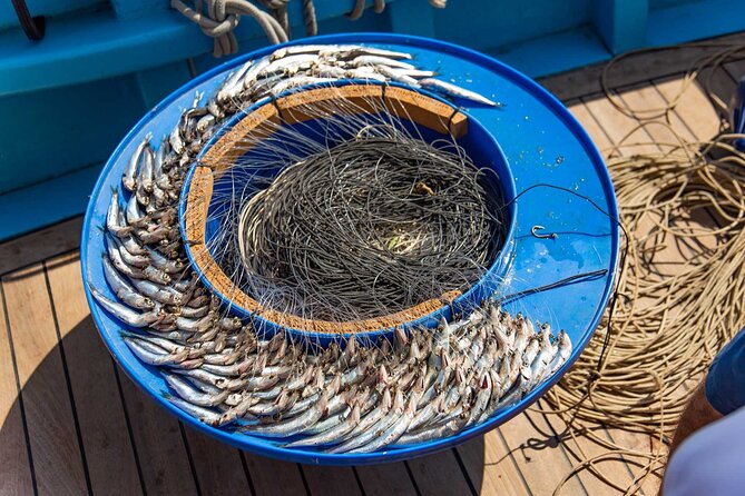 Fishing Experience Around Capri from Sorrento with Lunch Onboard - An In-Depth Look at the Tour