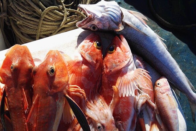 Fishing Experience Around Capri from Sorrento with Lunch Onboard - FAQ