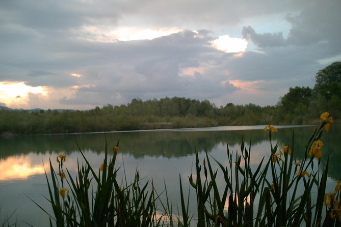 Fishing in Provence - Key Points