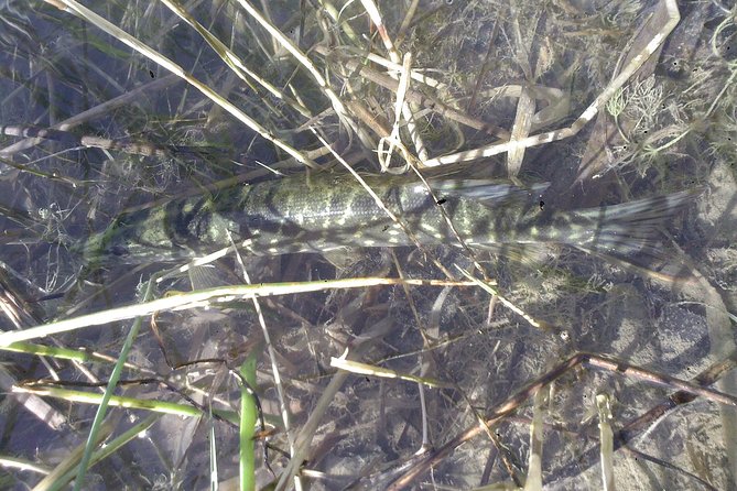 Fishing in Provence - Logistics and Practicalities