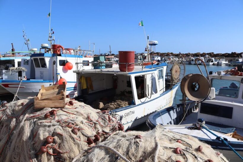 Fishing in Selinunte and lunch with cooking of the catch - Authentic and Educational: A Fisherman’s Tale