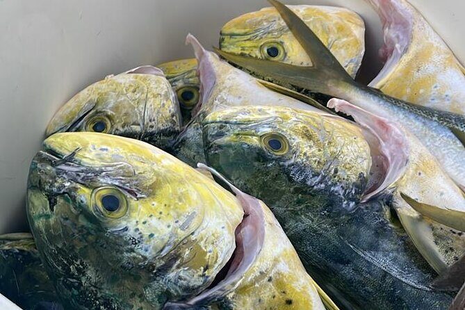 Fishing in Style - FAQ