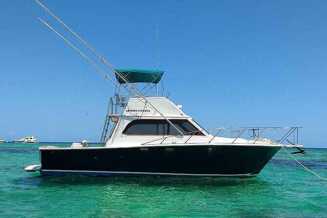 FISHING PRO CHARTERS - Boat Excursion - Divina - The Itinerary: What to Expect