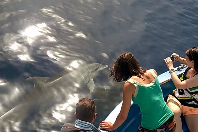 Fishing, Snorkelling & Dolphin Boat Tour - Meeting and Pickup Information