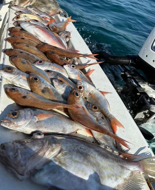 Fishing tour with midwater bolentino or rod technique. - What Makes This Fishing Tour Stand Out?