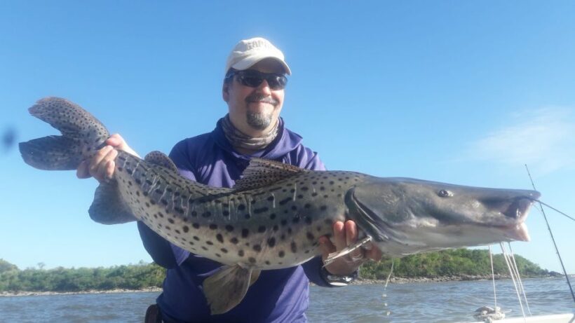 Fishing trips in Argentina. Buenos Aires - Key Points