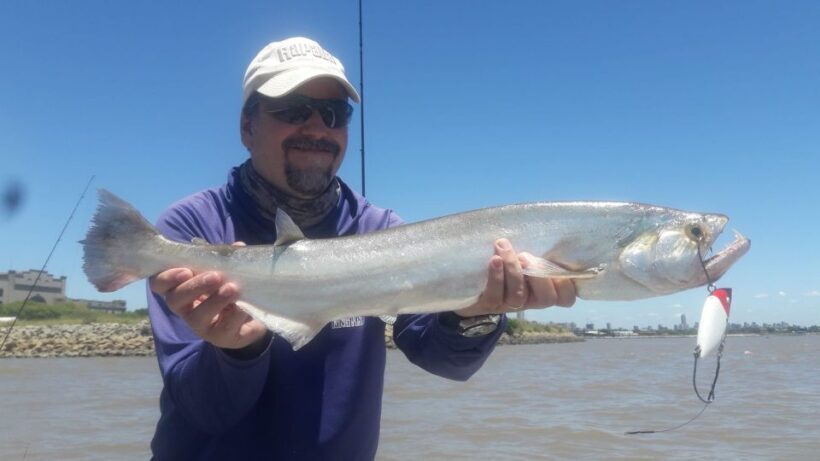 Fishing trips in Argentina. Buenos Aires - The Itinerary in Detail