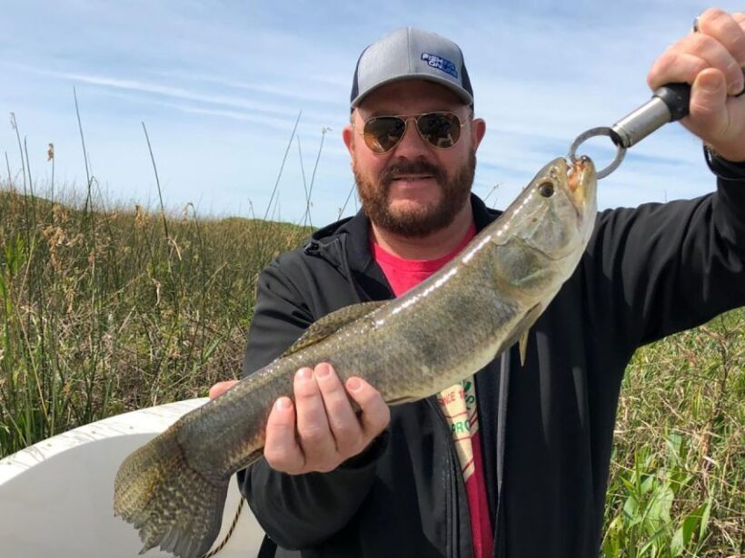 Fishing trips in Argentina. Buenos Aires - Analyzing the Value