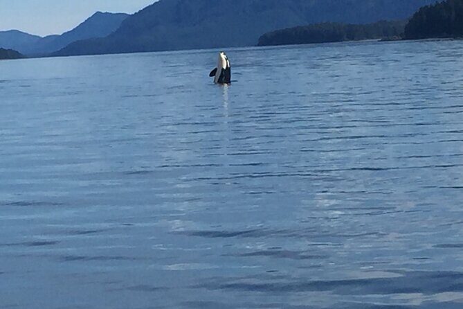Fishing Whale Watching Hoonah Alaska - Introduction: A Practical Look at Hoonah’s Fishing and Whale Watching Adventure