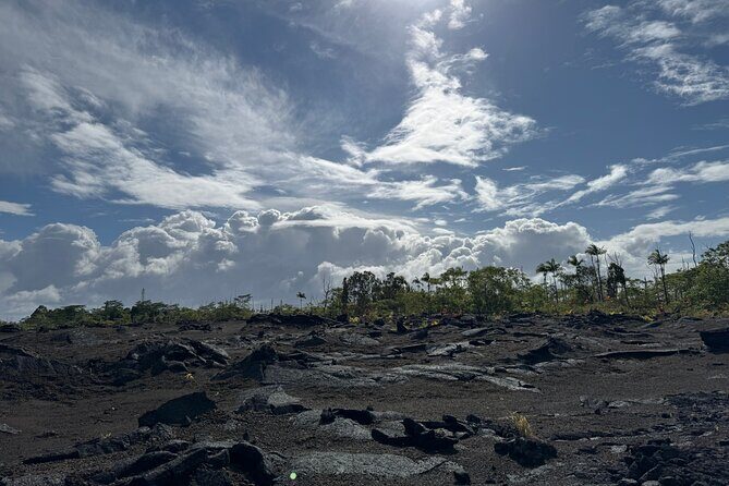 Fissure 8 Tour - Volcanoes National Park and Hilo Discovery - Who Will Love This Tour?