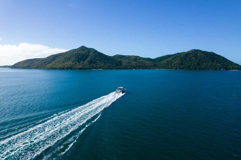 Fitzroy Island: Full-Day Ferry & Snorkel Safari Guided Tour - Authentic Experiences and Common Feedback
