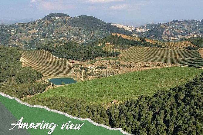 Five Sense Outdoor Experience - Cultural Insights and Local Delights