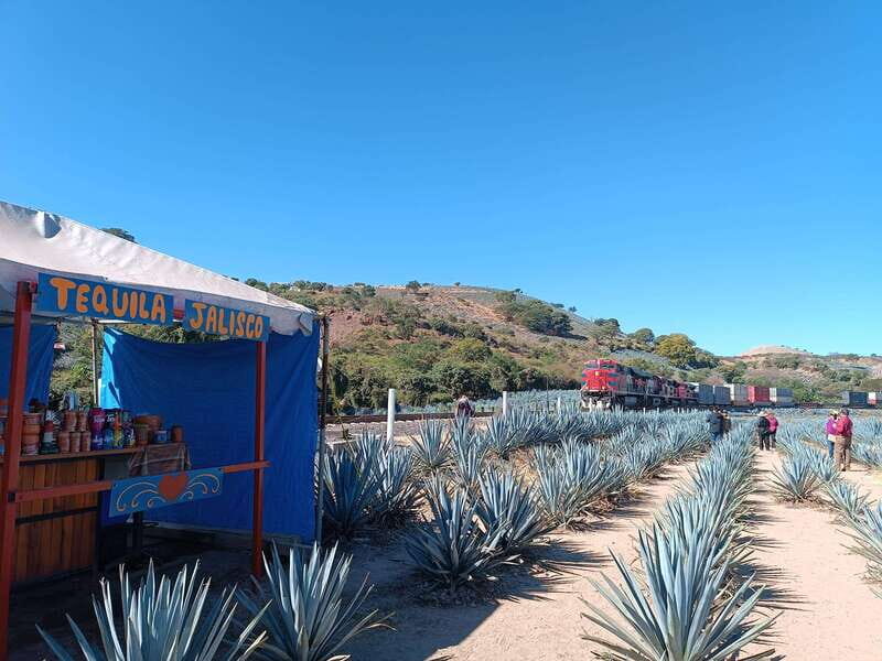 Five-star factory: Meet Orendain tequila. - An In-Depth Look at the Orendain Tequila Tour