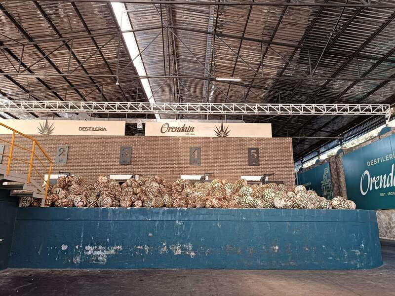 Five-star factory: Meet Orendain tequila. - Frequently Asked Questions
