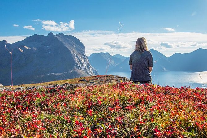 Fjord Expedition: Arctic Adventure Awaits - Small-Group Exploration for a Personal Experience