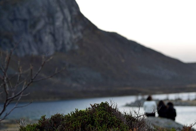 Fjord Expedition: Arctic Adventure Awaits - Booking Flexibility and Policies