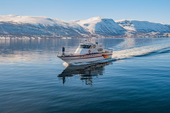 Fjord Safari in the Altafjord - Final Thoughts: Is This Tour for You?