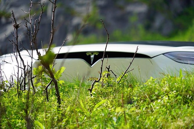 Fjord Sightseeing - Eco Friendly Tesla Model X - Personalized Northern Lights Experience