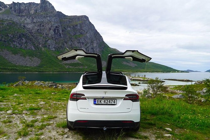 Fjord Sightseeing - Eco Friendly Tesla Model X - Exceptional Tour Inclusions