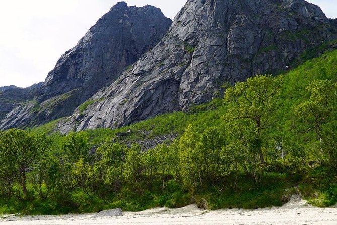 Fjord Sightseeing - Eco Friendly Tesla Model X - Flexible Policies and Competitive Pricing