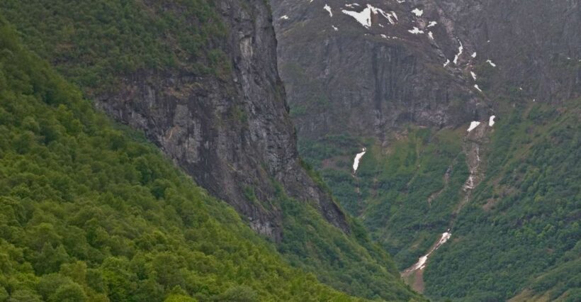 Fjords: Private Trip with Train and Cruise Ride - Why This Tour Delivers Genuine Value