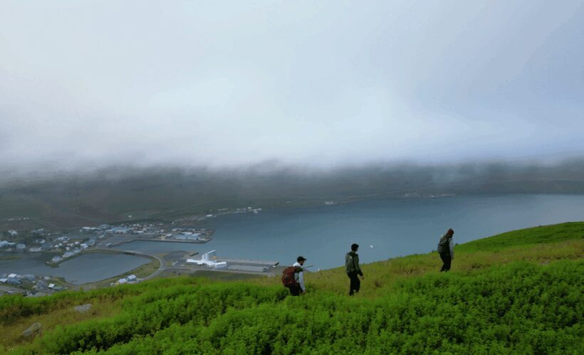 Fjordside hills hiking tour - Frequently Asked Questions