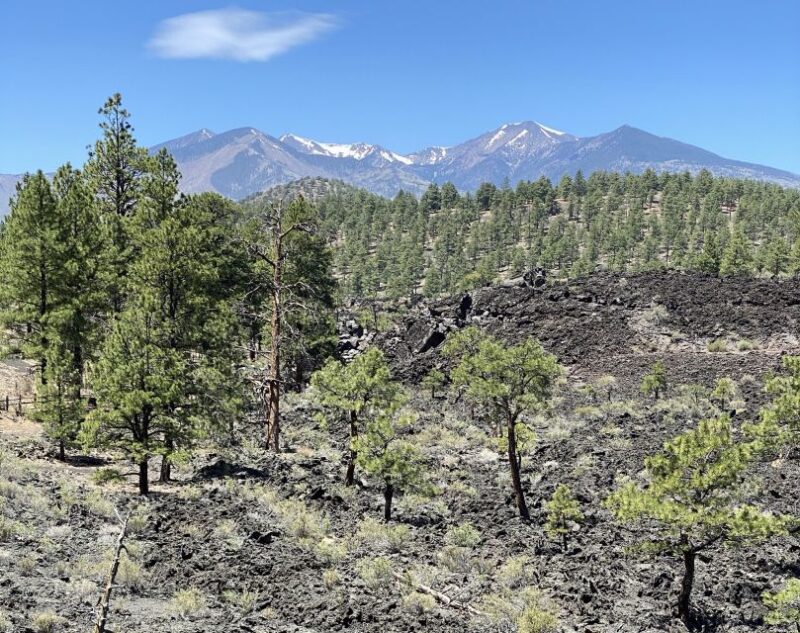 Flagstaff: Grand Canyon, Wupatki & Volcano Christian Tour - Who Should Consider This Tour?