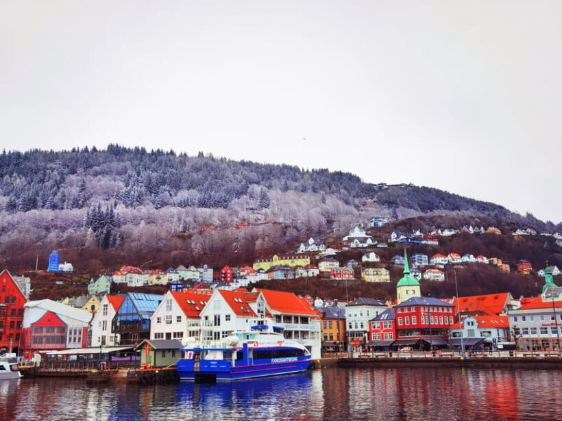 Flåm Flexible Tour with Stegastein, cruise and train include - The Sum Up