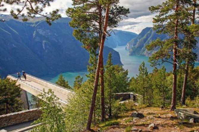 Flam: The Spectacular Stegastein Viewpoint Tour (Small Group) - Navigating the Challenging Roads