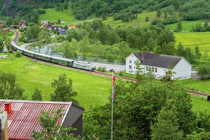 Flåm Tour: Borgund Stave Church, Lærdal & Stegastein - Who will enjoy this tour?