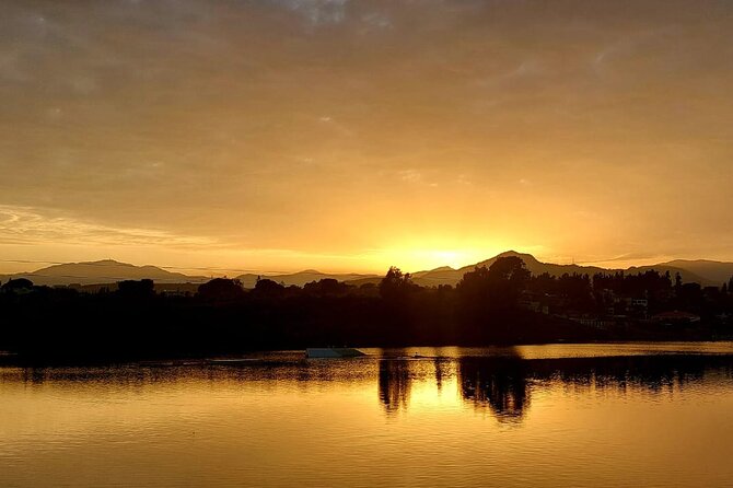 Flamenco and Grill Evening on the Banks of Lake Guadalmina - Flamenco Performance