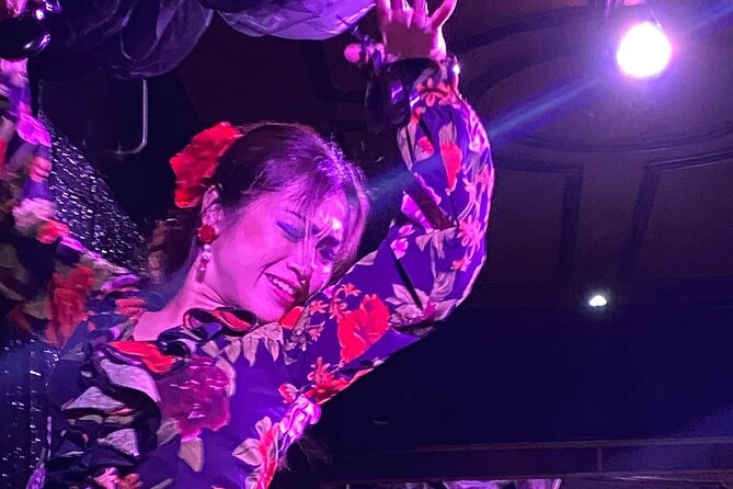 Flamenco Benalmadena Show - Accessibility and Traveler Information