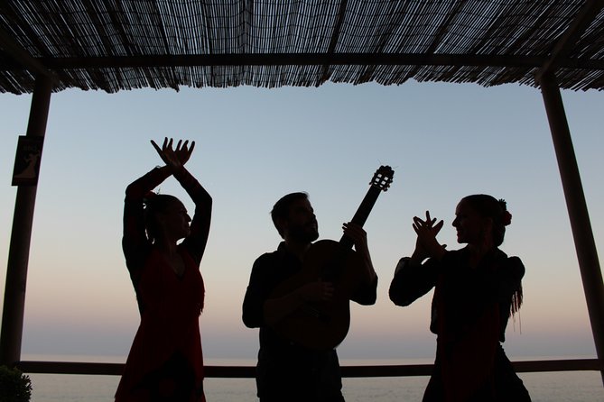 Flamenco Evening and Barbecue by the Sea at the Blue Dolphin Beach Club - Flamenco Performance