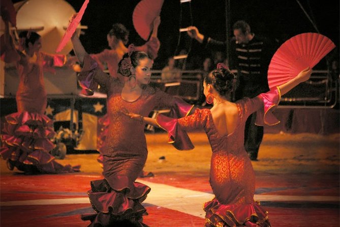 Flamenco Show and Tapas in Seville - Accessibility and Additional Information