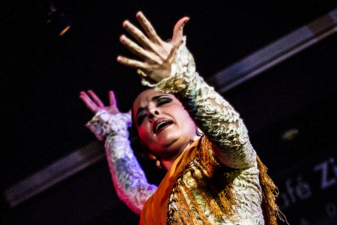 Flamenco Show at Café Ziryab: Madrid - Accessibility and Additional Considerations